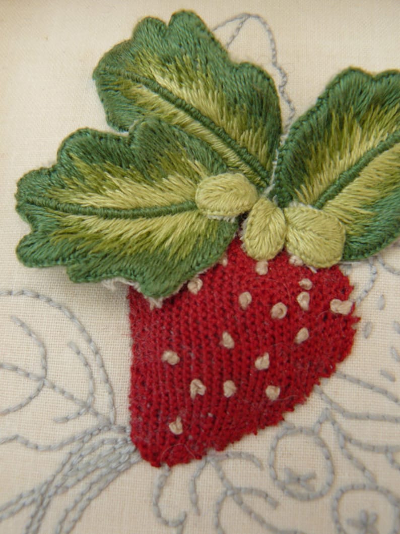 ST 302 Strawberry Summer Fruits Starter Stumpwork Raised Embroidery Kit ...