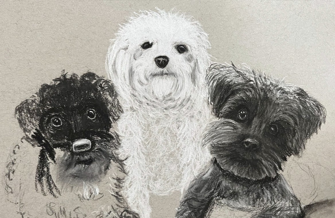 Custom Hand Drawn Pet Portraits - Etsy