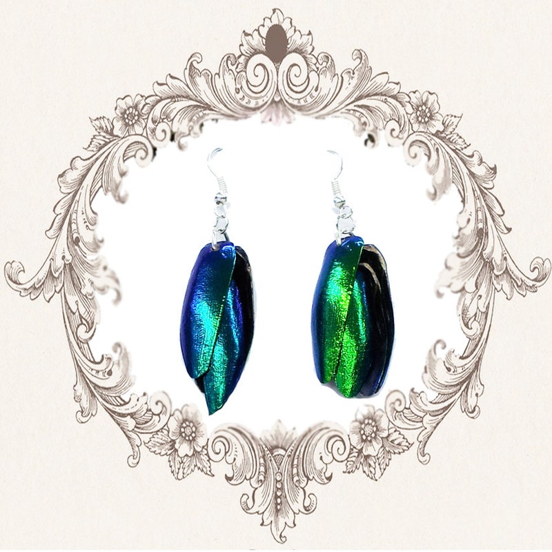 Bug Wing - Etsy