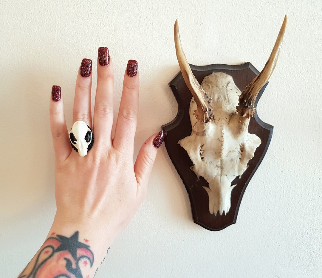 PRE ORDER Black Bat Skull Ring Adjustable Frame Taxidermy Bat - Etsy