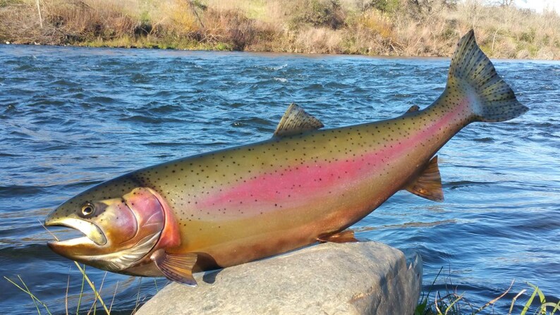 25 Metal Trout Sculpture. Rainbow Steelhead | Etsy