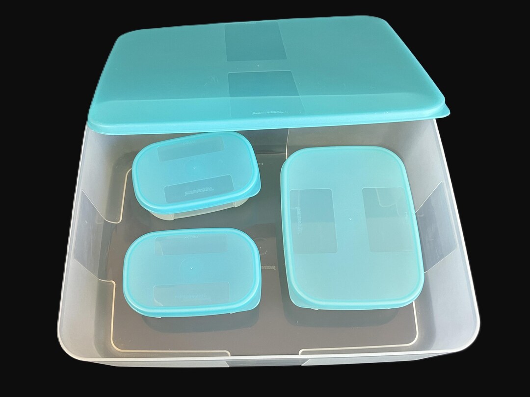 Vintage Tupperware Freezer Mates, Lids - Set of 4, Rectangle, Sheer ...