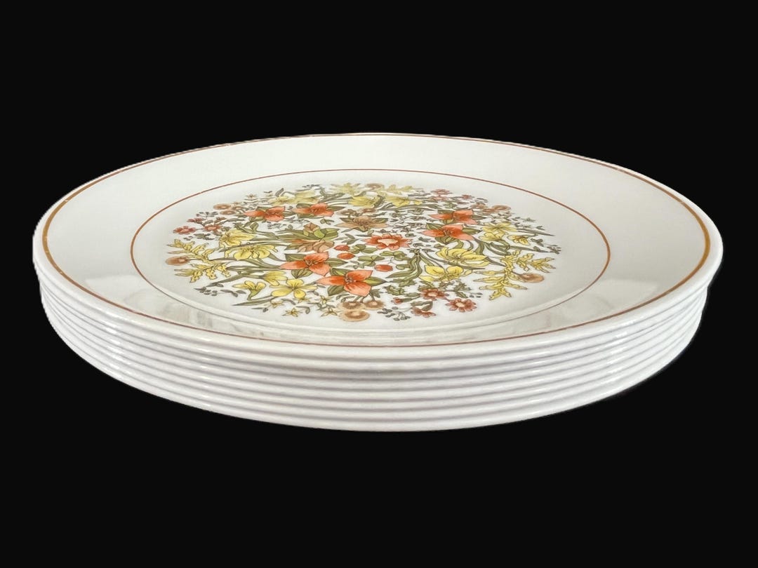 Vintage Corelle Indian Summer 10.25" Dinner Plates, Set of 8 - White ...