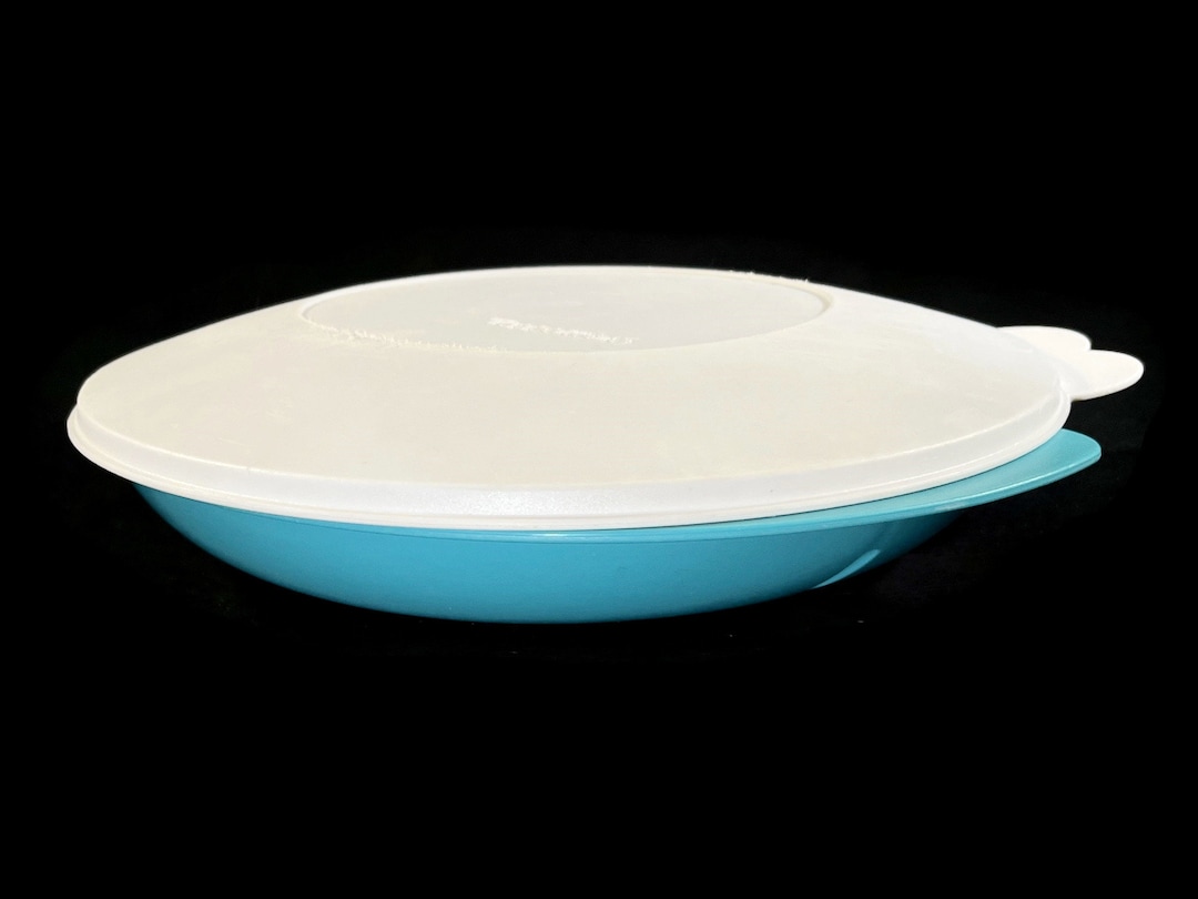 Vintage Tupperware Reheatables Divided Dish Turquoise/aqua/green, White ...