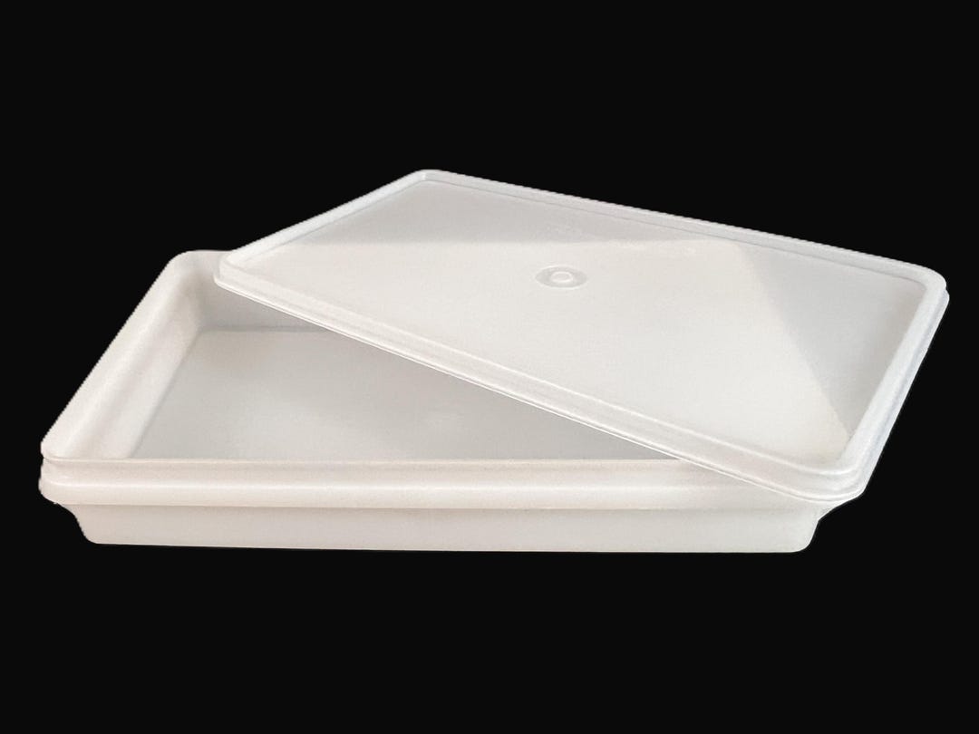 Vintage Tupperware Bacon Keeper Container, Lid - #794, White, Sheer Lid ...