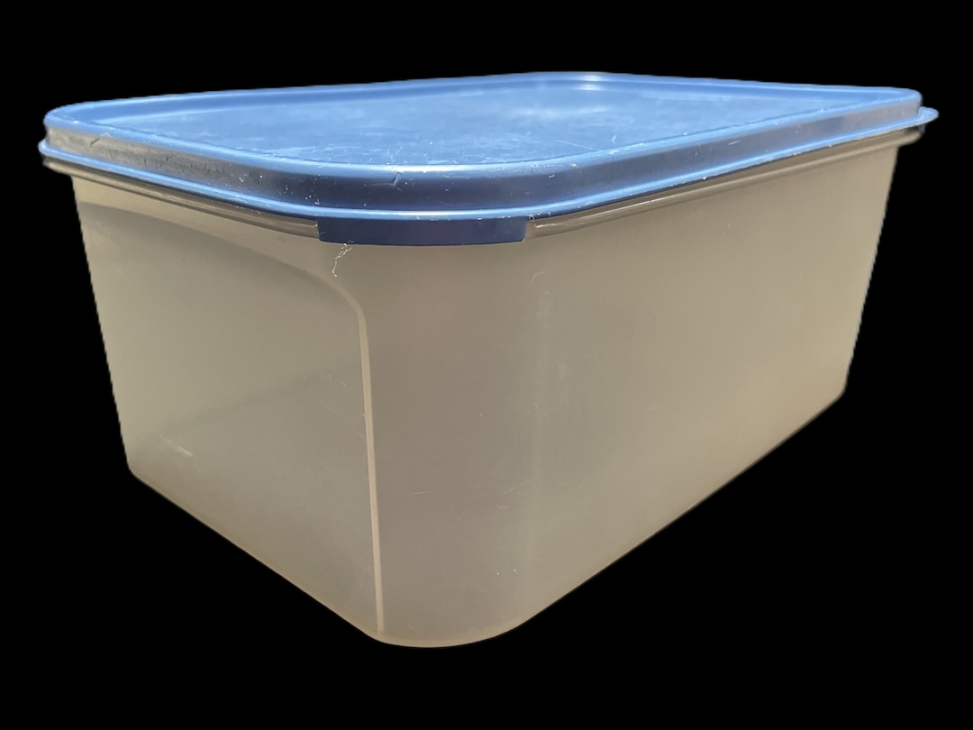 Vintage Tupperware Shallow Container, Lid - Modular Mates Rectangle 2 ...