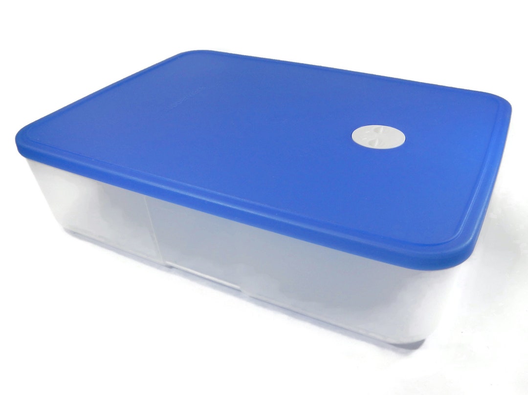 Vintage Tupperware Freeze Smart Large 2 With Lid - Rectangle, Sheer ...