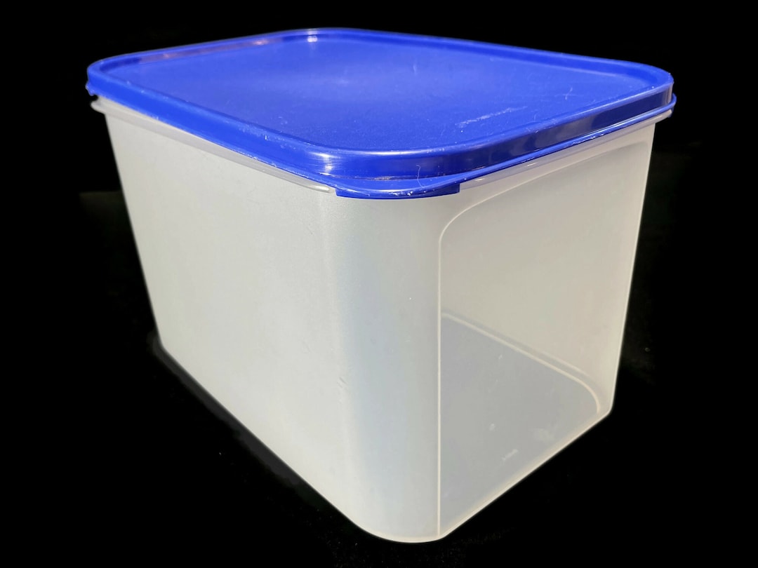 Vintage Large Tupperware Canister, Lid Modular Mates Rectangle 3, Sheer ...