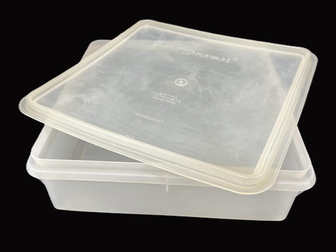 Vintage Tupperware Snack-stor Square Container, Lid - 1970s, Sheer ...