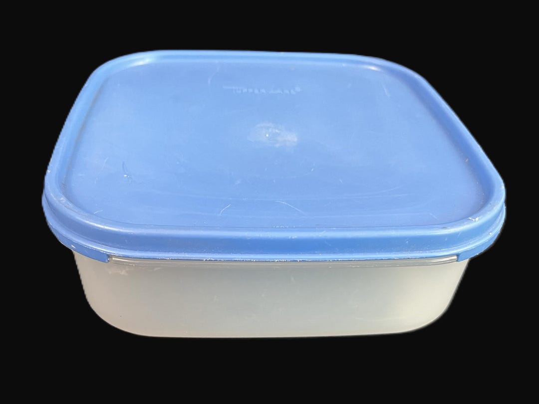 Vintage Tupperware Modular Mate Square 1, Lid - Sheer, Country Blue ...