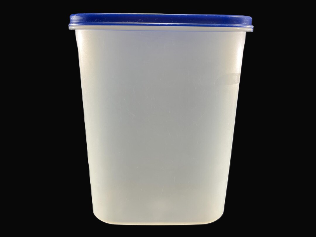 Vintage Tupperware Canister With Lid - Mod Mates Oval 4, Sheer, Blue ...
