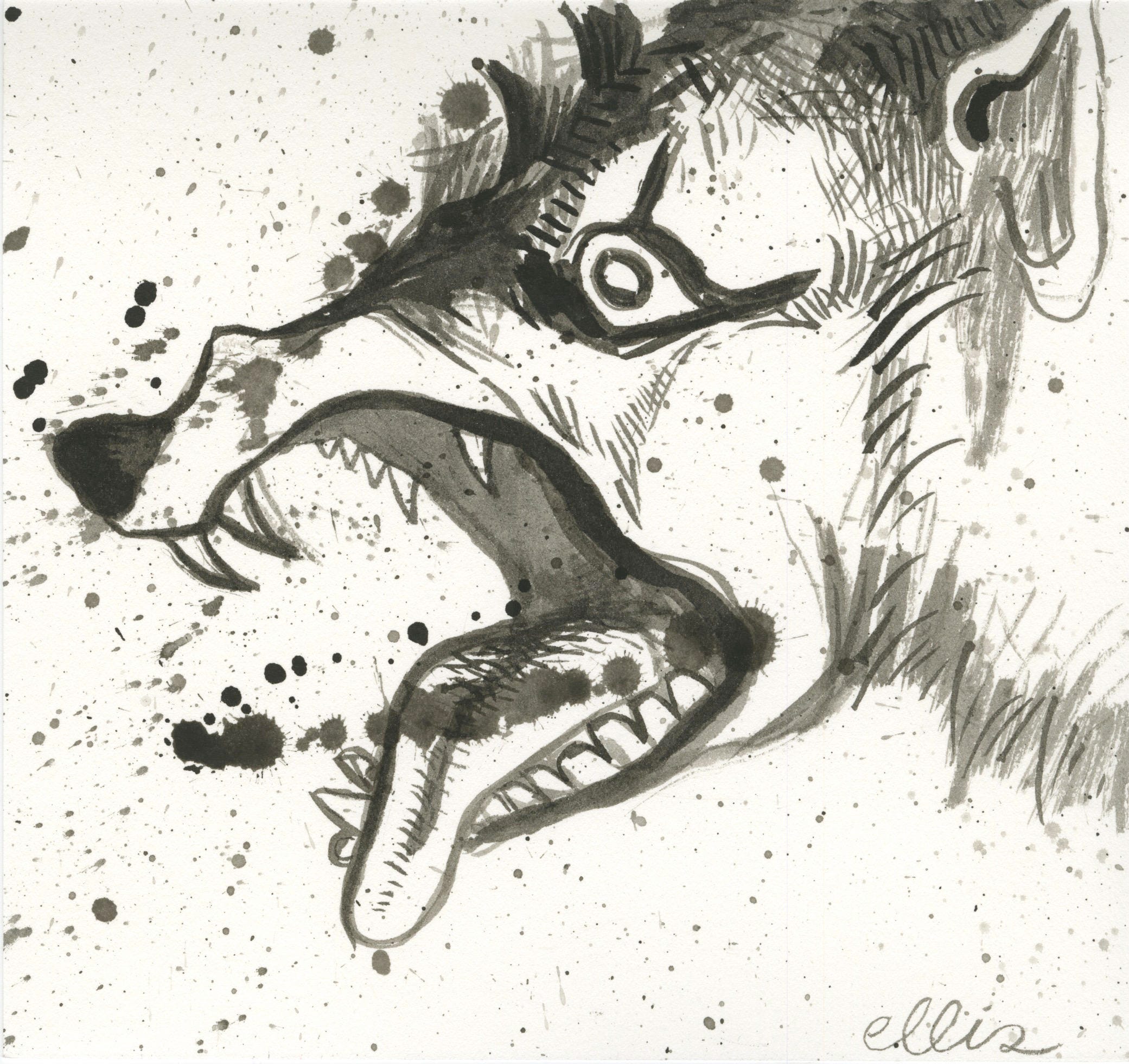 Wolf Snarl Drawing