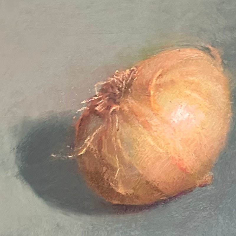 Onions Still Life - Etsy