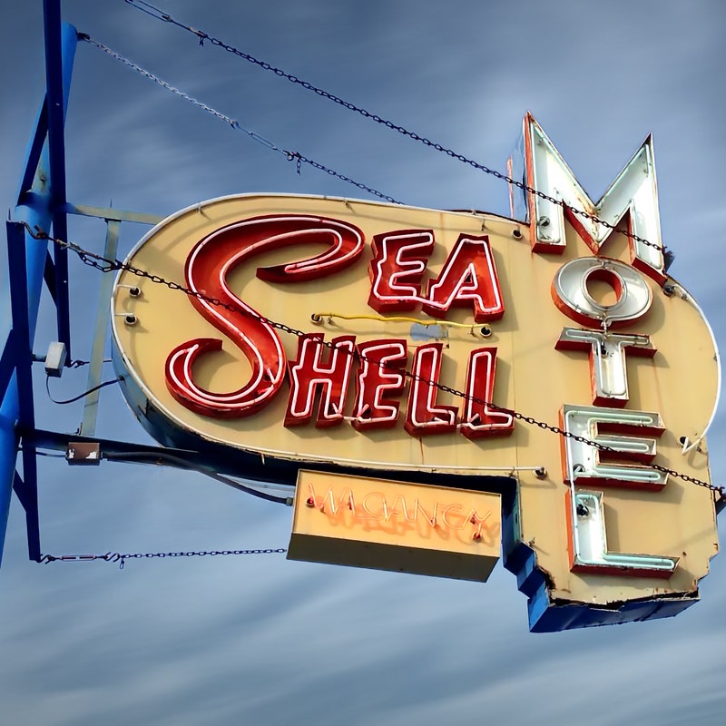 Shell Sign - Etsy