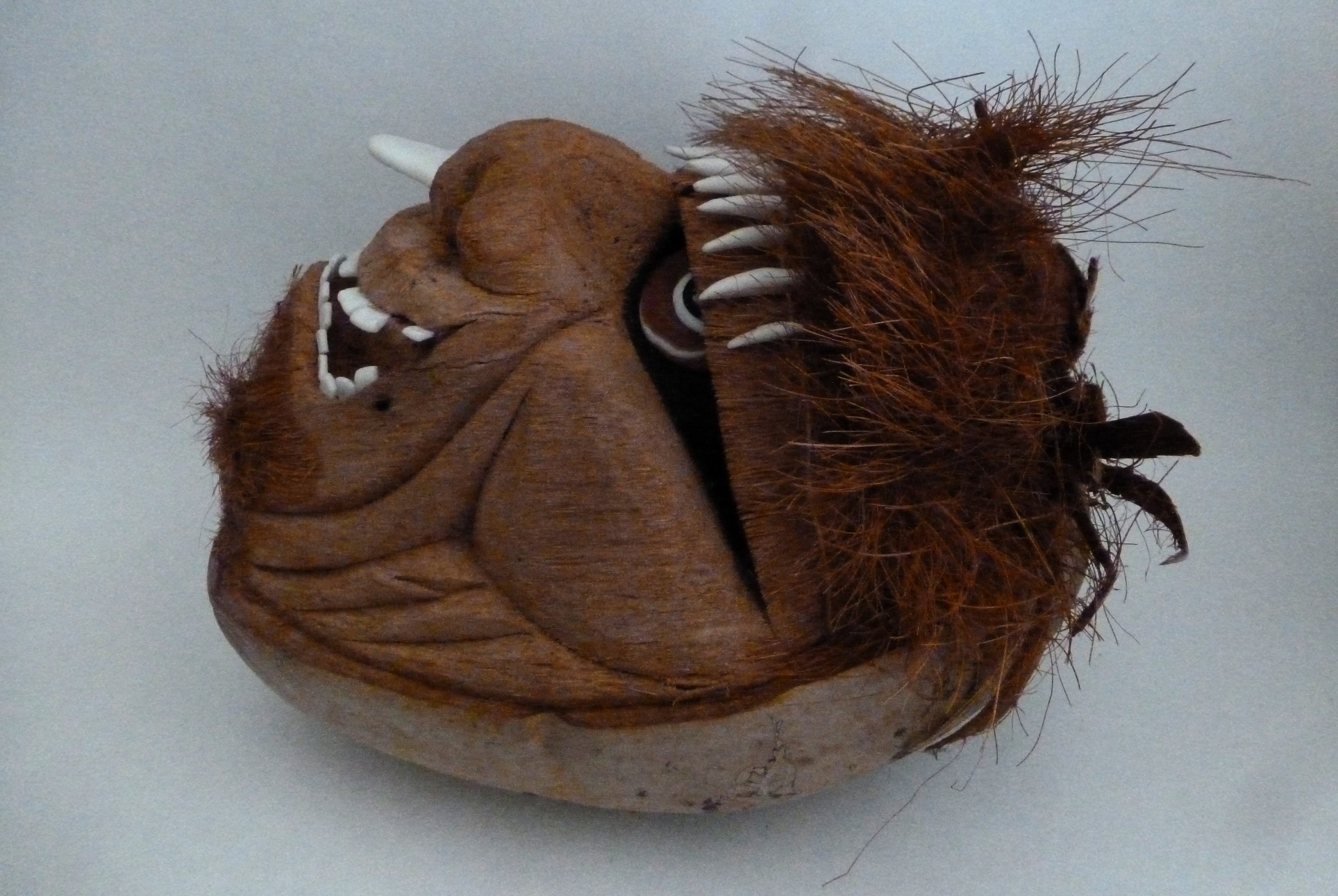 12tall Vintage Carved Coconut Head / Coconut Hanging | Etsy