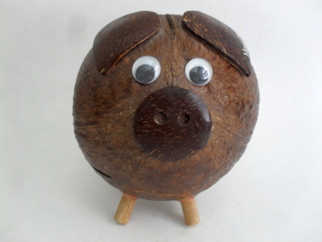 Coconut Shell Piggy Bank / Pig With Plastic Eyes Money Coin Bank ...