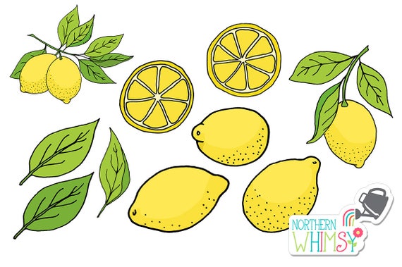 34 Lemon Slice Clip Art