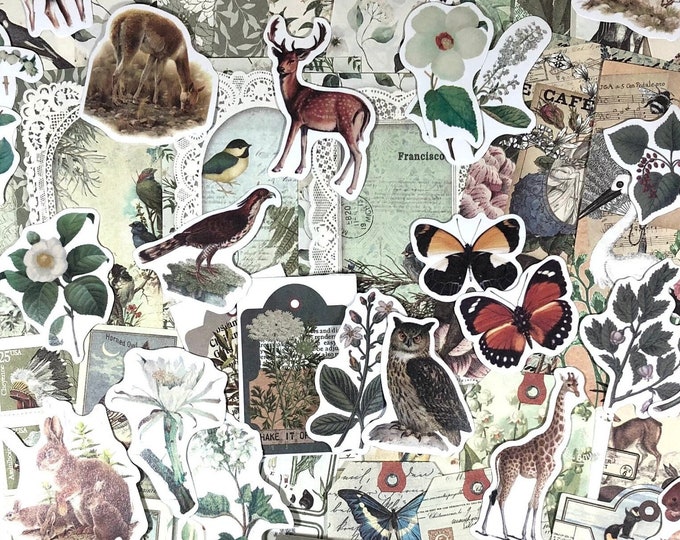100 Pc Forest Woodland Retro Nature Journal Stickers and Papers Kit ...