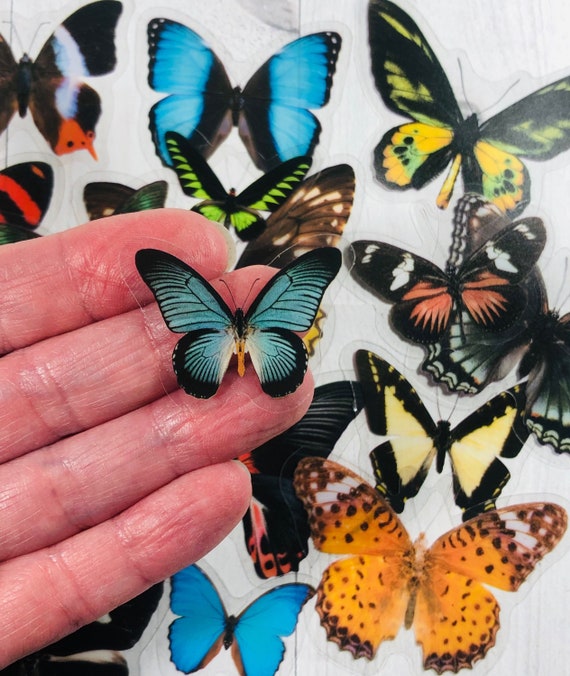Butterfly Stickers Fussy Cut Pack of 20 or 40 Stickers in a - Etsy