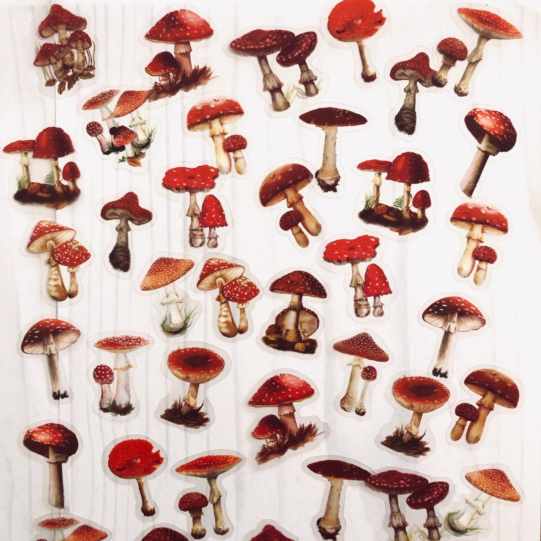 Mushroom Stickers Pack - 20 or 40 Fussy Cut Transparent PVC Mushroom ...