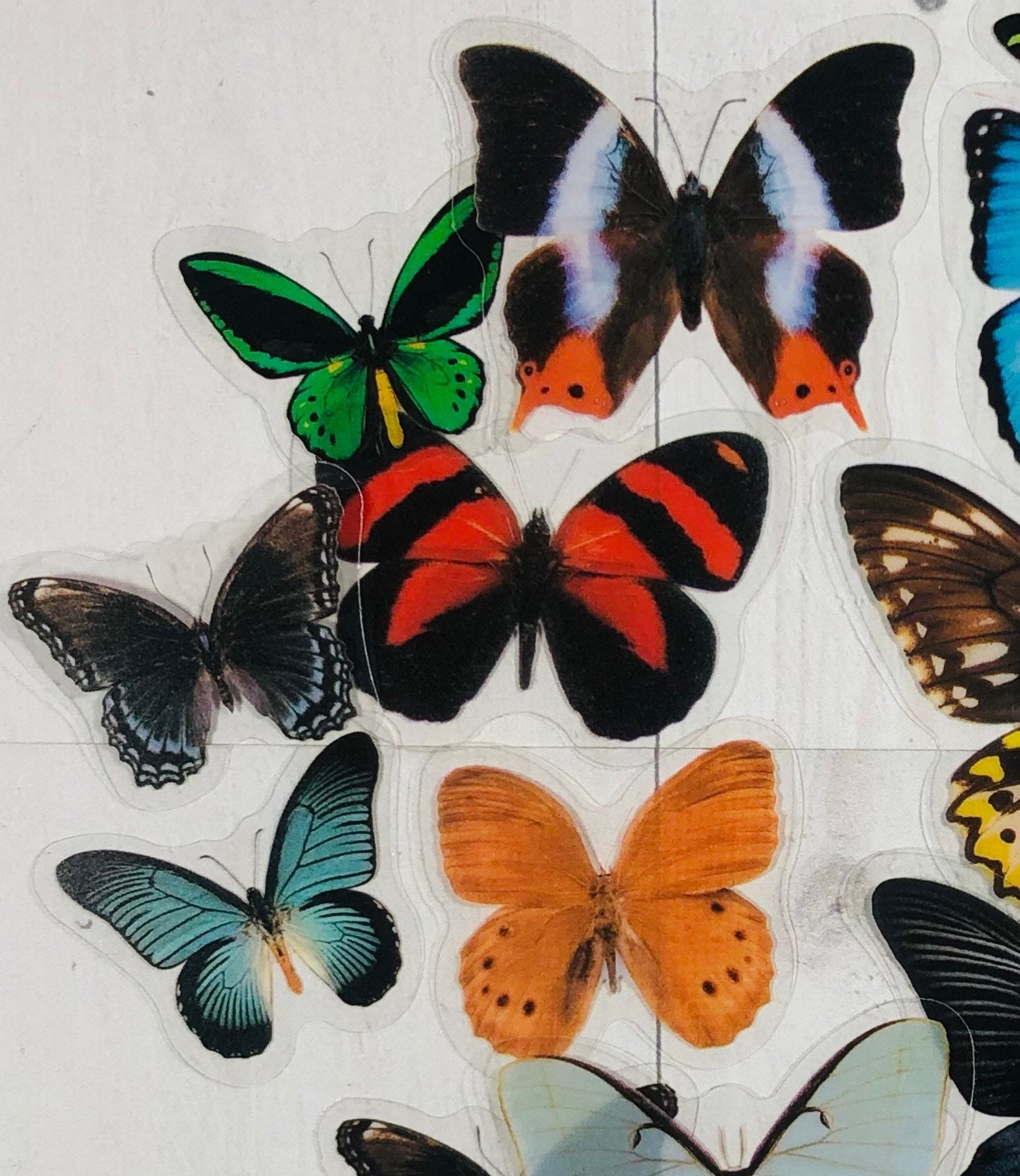 Butterfly Stickers Fussy Cut Pack of 20 or 40 Stickers in a - Etsy