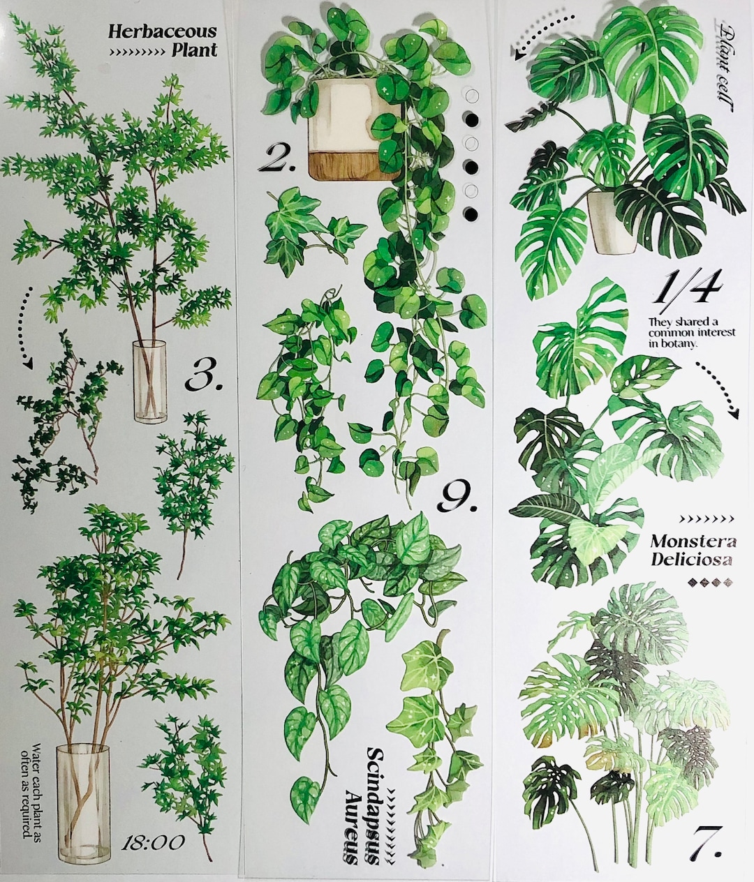 Tropical Plant Stickers: Monstera, Ivy, Bamboo - Clear Layering ...