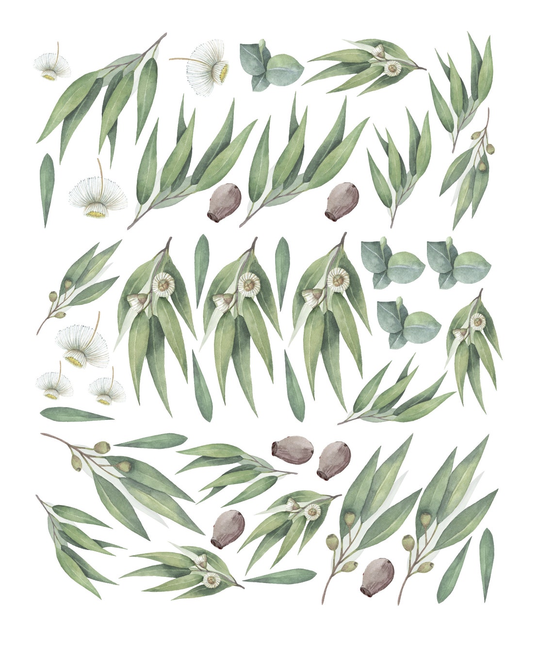 Australian Gum Tree & Gumnut Decal Set - Etsy Australia