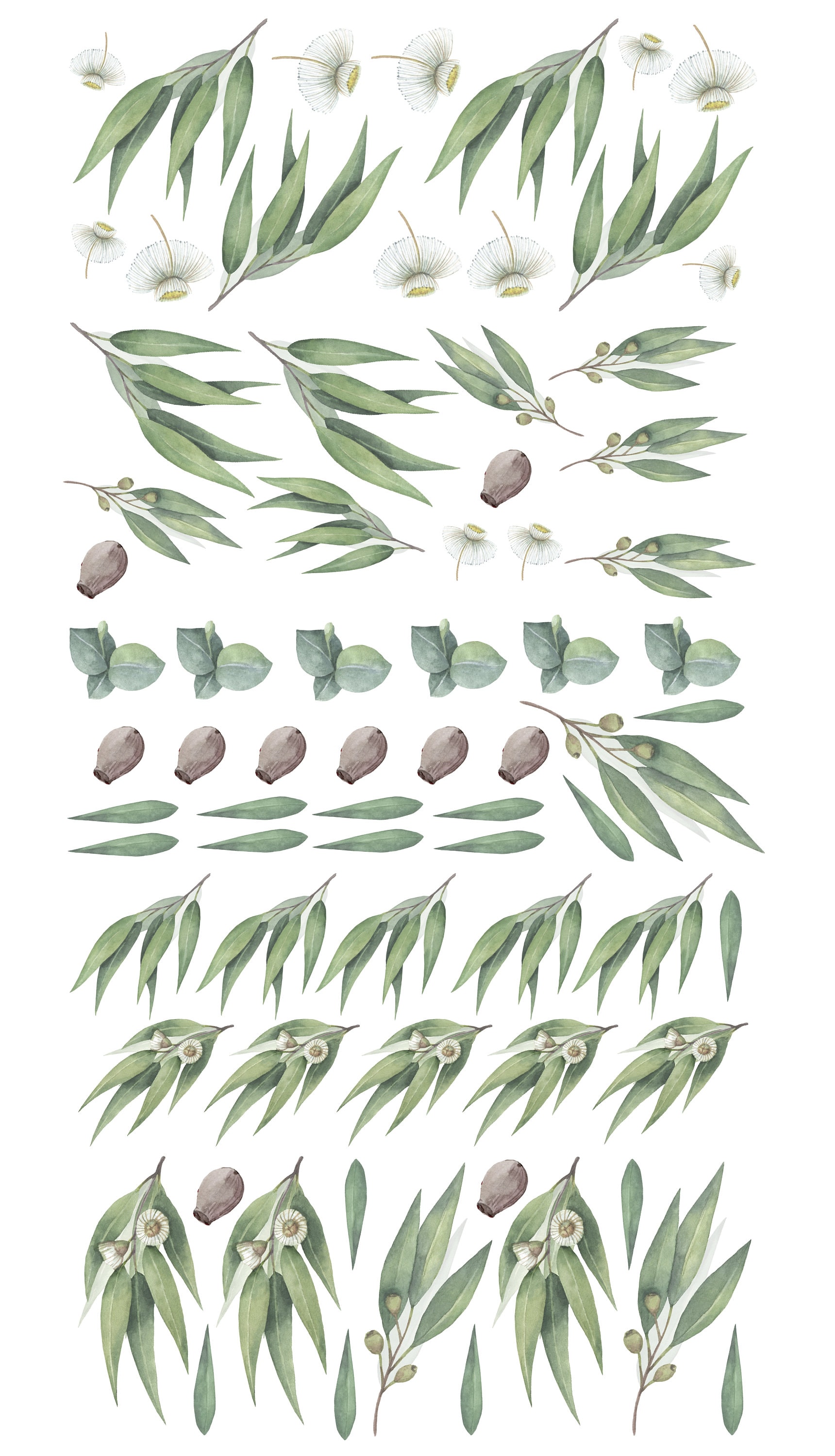 Australian Gum Tree & Gumnut Decal Set - Etsy Australia