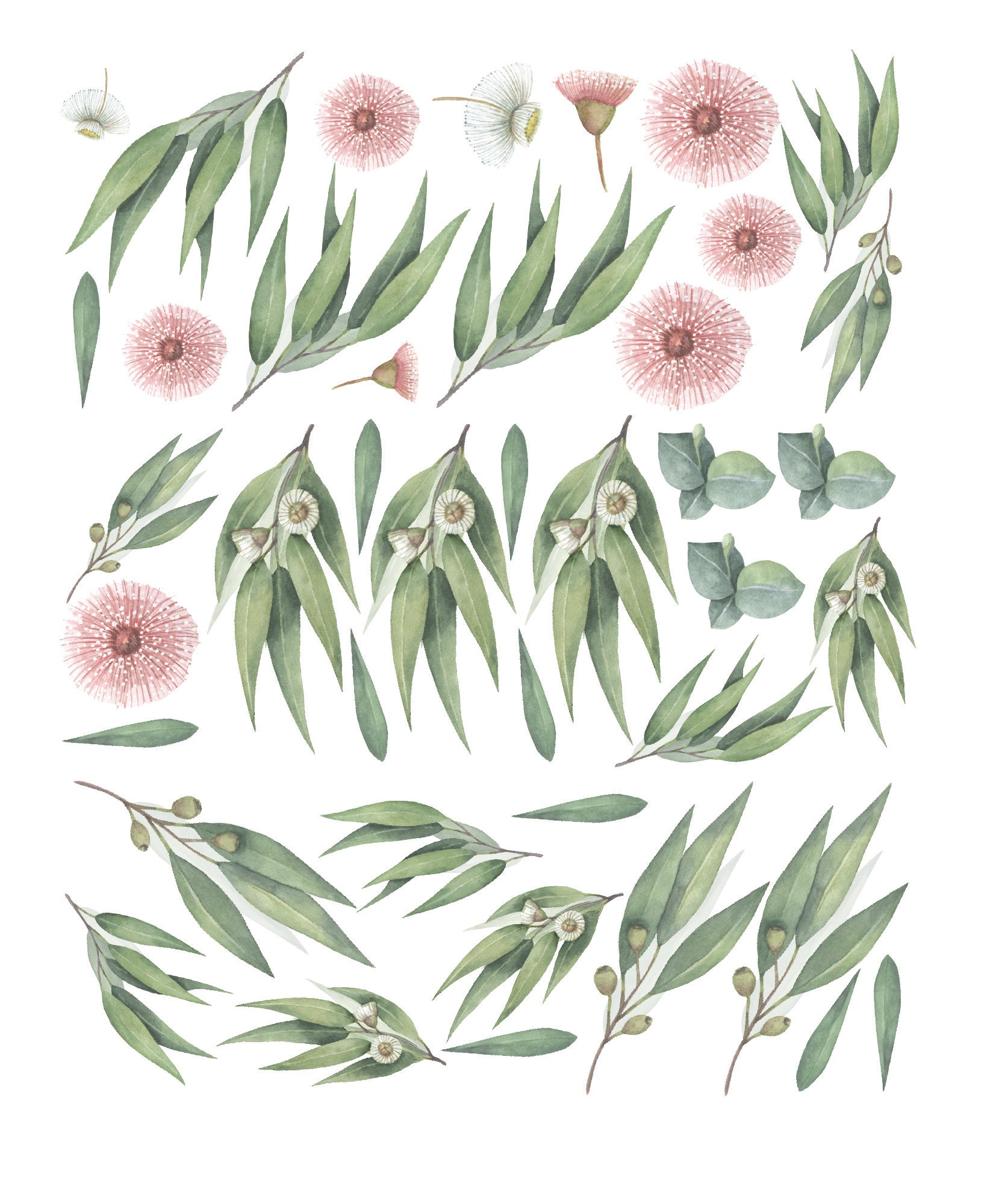 Australian Gum Tree Decal Set - Etsy Singapore