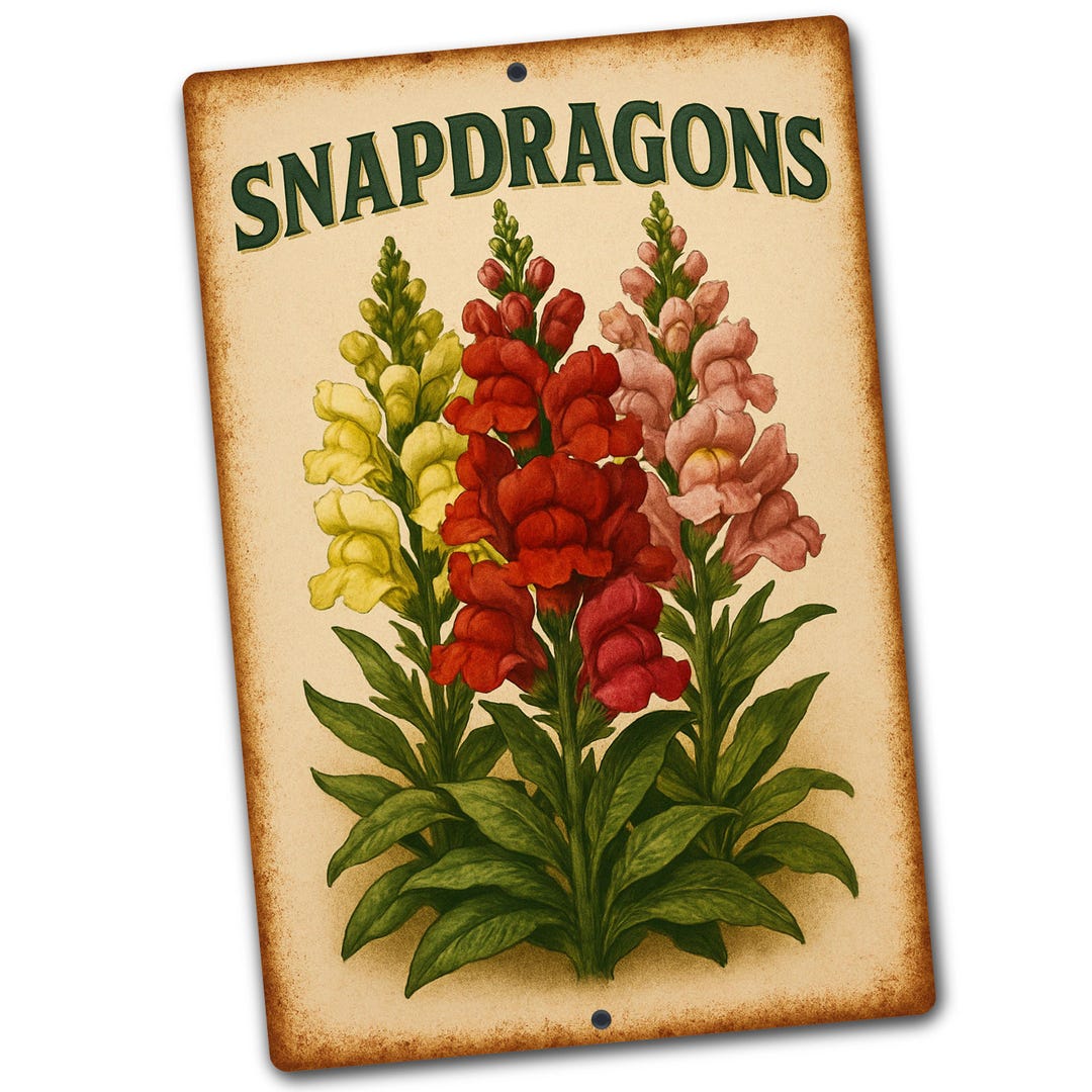 Vintage Snapdragons Garden Sign, Rustic Snapdragon Flower Wall Art ...