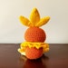 Torchic Amigurumi Crochet Pattern - Etsy