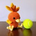 Torchic Amigurumi Crochet Pattern - Etsy