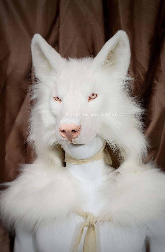 Albino Wolf