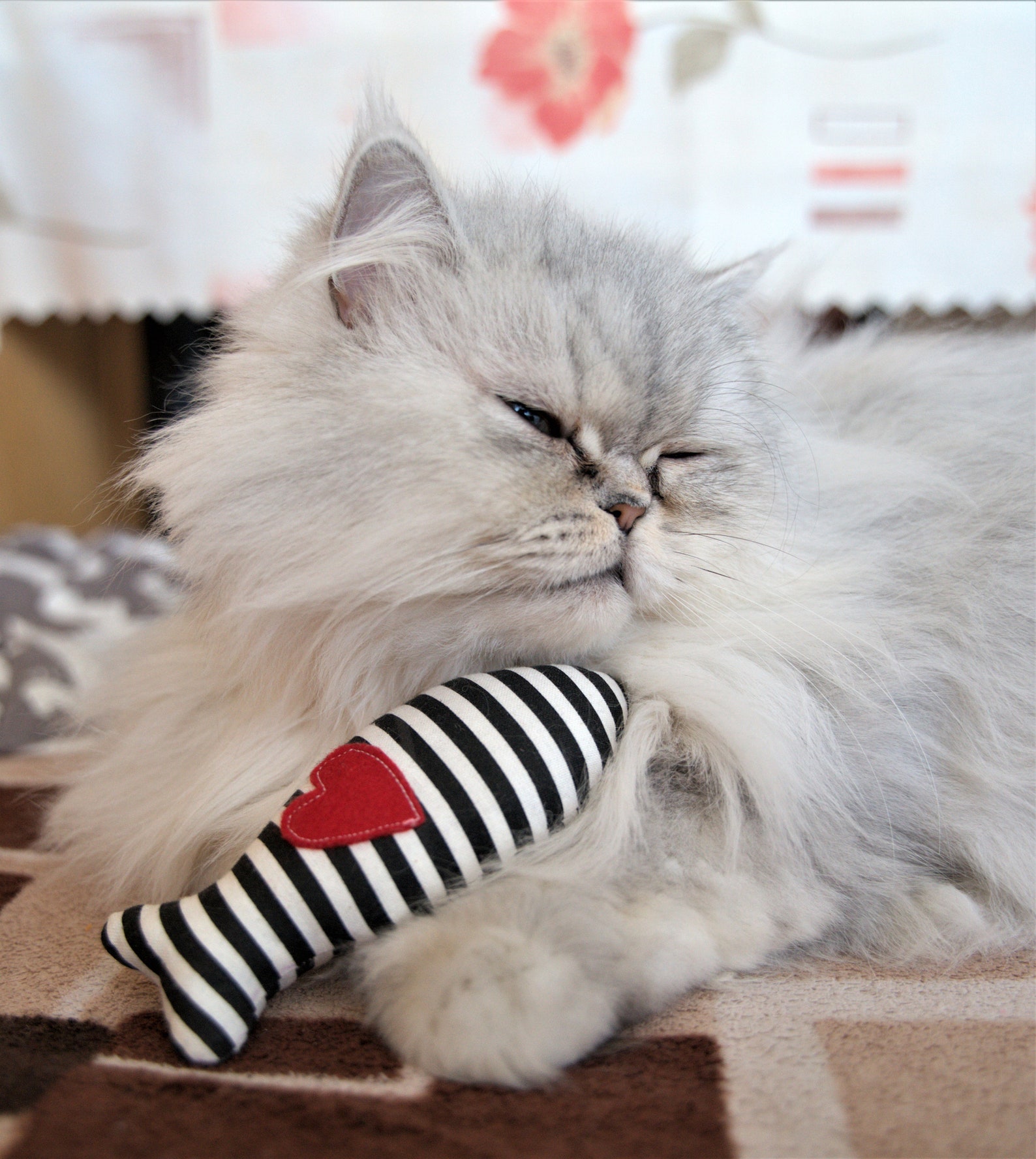 Cat Fish Shaped Toy PDF Sewing Pattern and Tutorial DIY Fish - Etsy