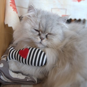 Cat Fish Shaped Toy PDF Sewing Pattern and Tutorial DIY Fish Stuffed ...