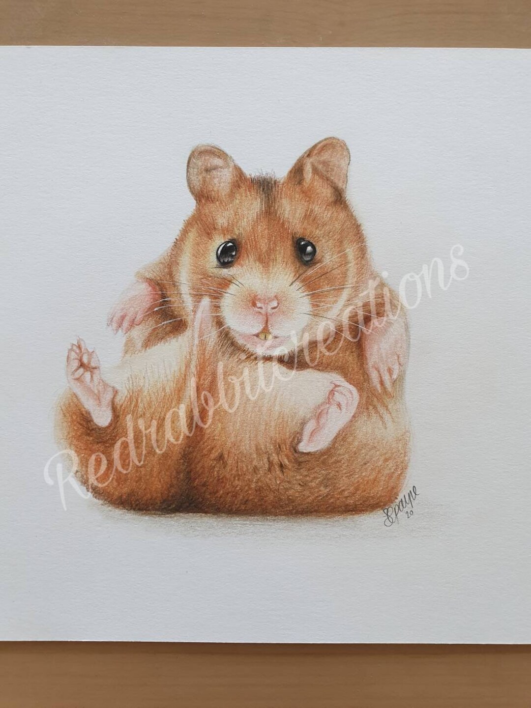 Roly Poly Ham - Limited Edition Print of My Original Pencil Drawing on ...