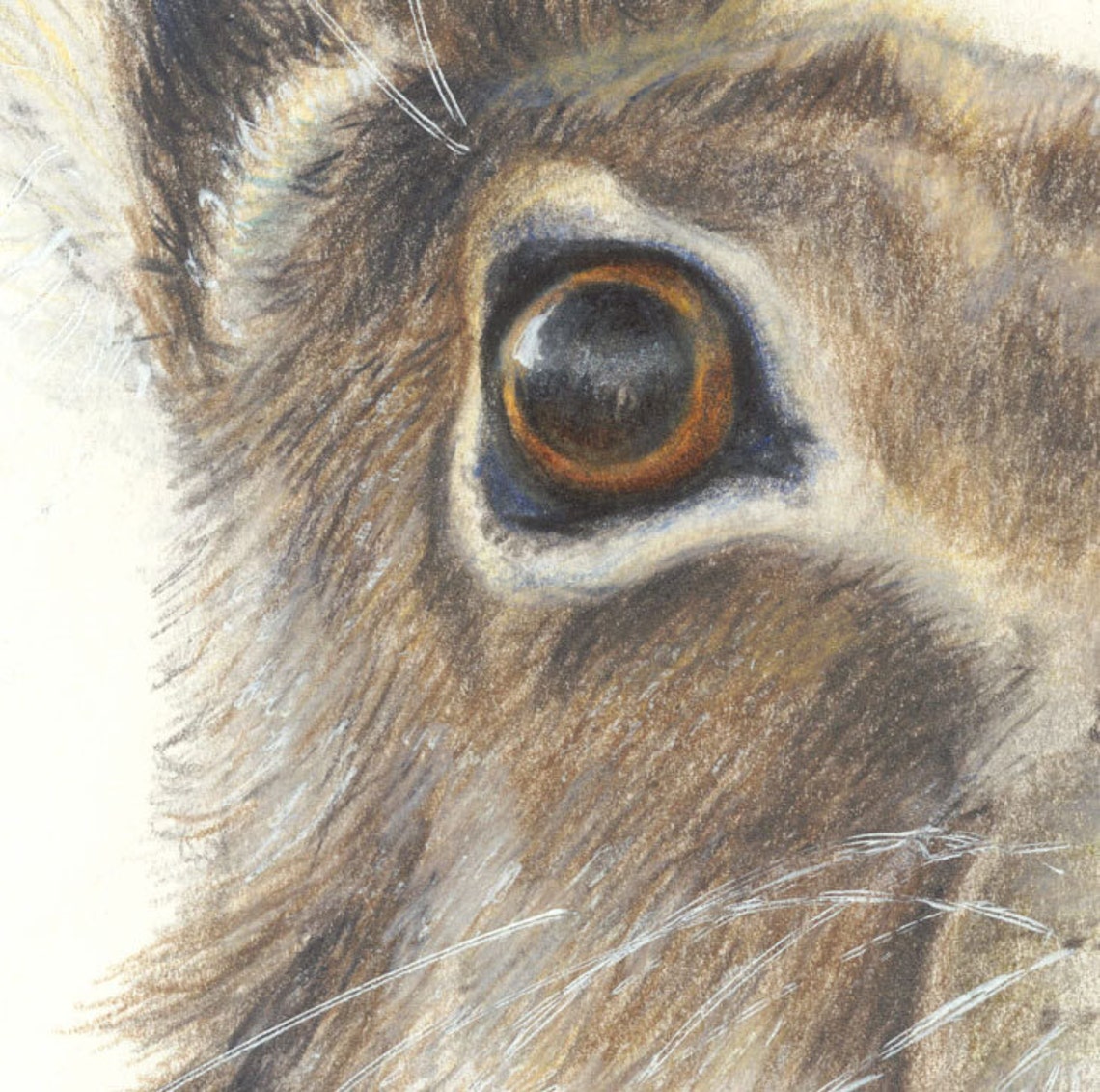 Print of an Original Pencil Drawing of a hare - Etsy