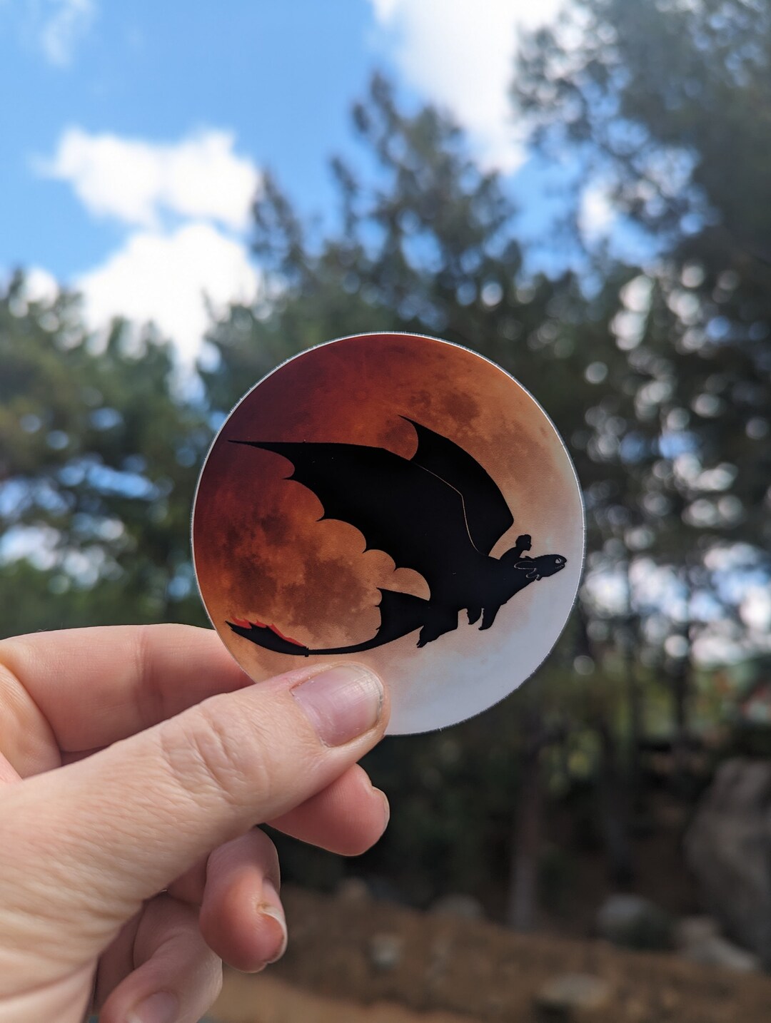 How to Train Your Dragon Toothless & Hiccup Circle Sticker 3x3in - Etsy