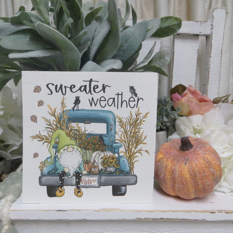Weather Gnome - Etsy