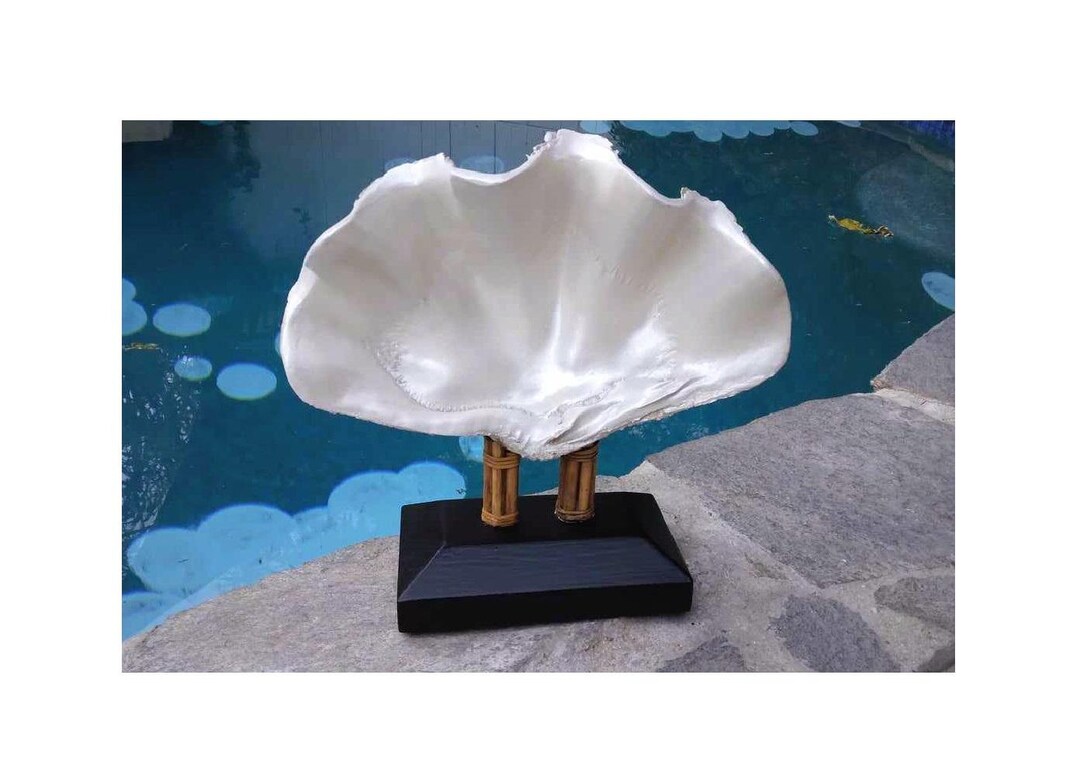 Large Palecek Seashell Clam Sculpture on Bamboo Display Black Painted ...