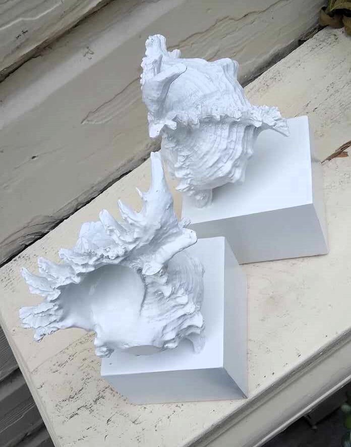 Pair of White Painted Resin Conch Shell Square Based Bookends - Etsy
