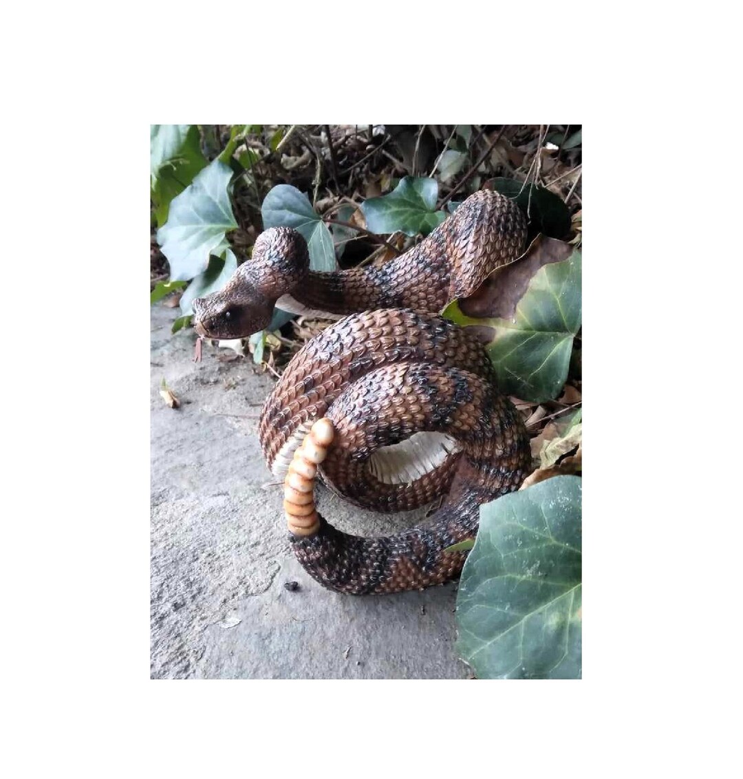 Lifesize Diamondback Coiled Rattlesnake Hard Resin Statue Realistic ...