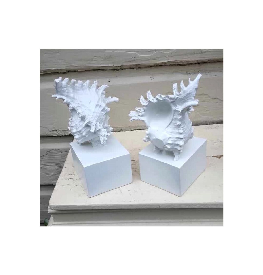 Pair of White Painted Resin Conch Shell Square Based Bookends - Etsy