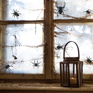 Spider Window Decal Halloween Window Cling Spooky House Decor Vinyl ...