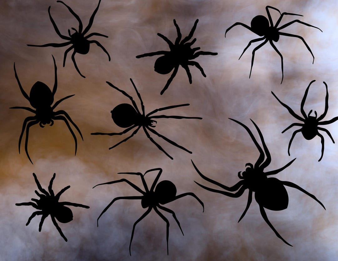 Spider Window Decal Halloween Window Cling Spooky House Decor Vinyl ...