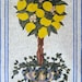 Mosaic Backsplash - Moroccan Lemon Tree - Etsy