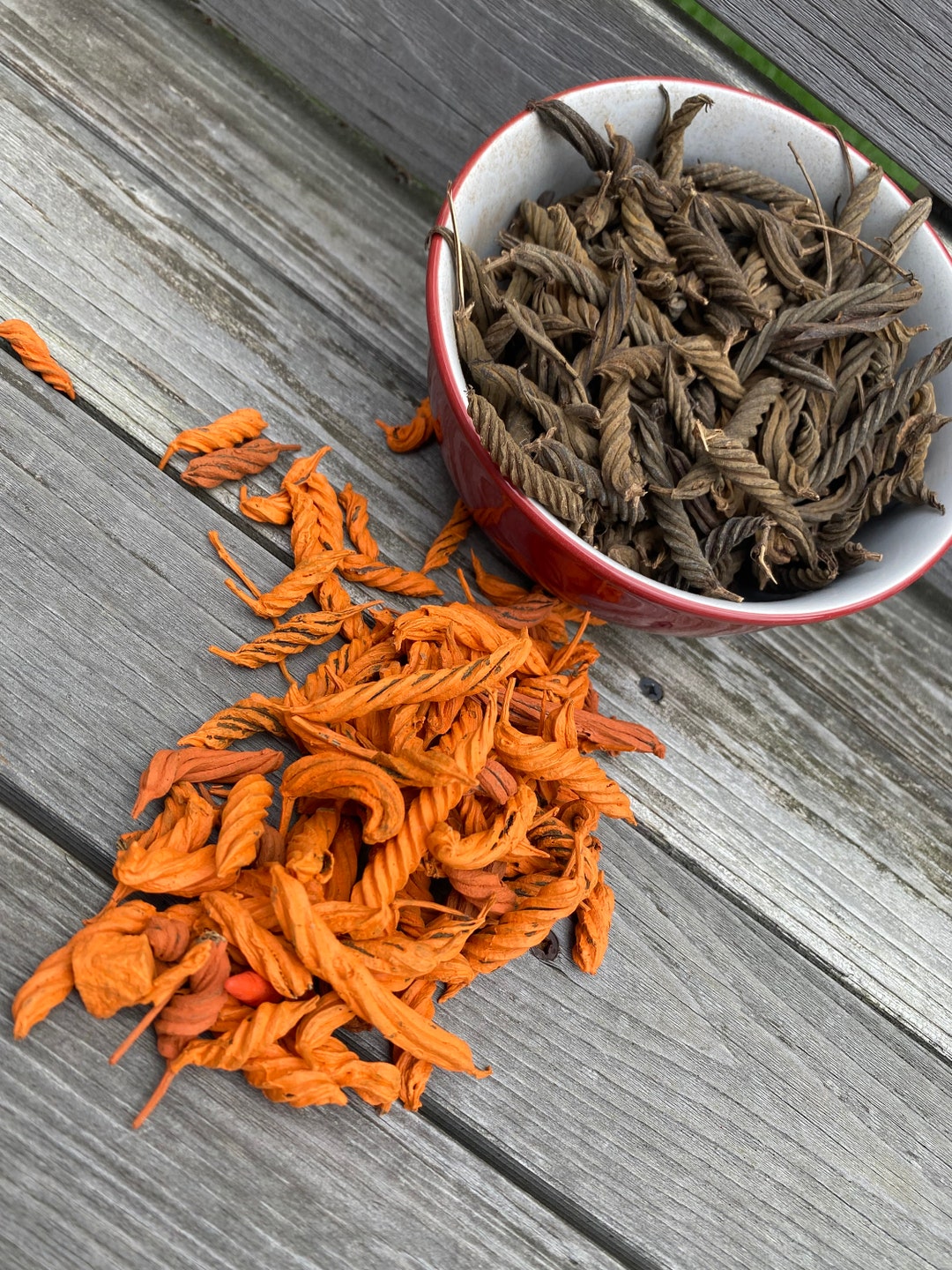 Snowman Noses Twisted Pods - Etsy