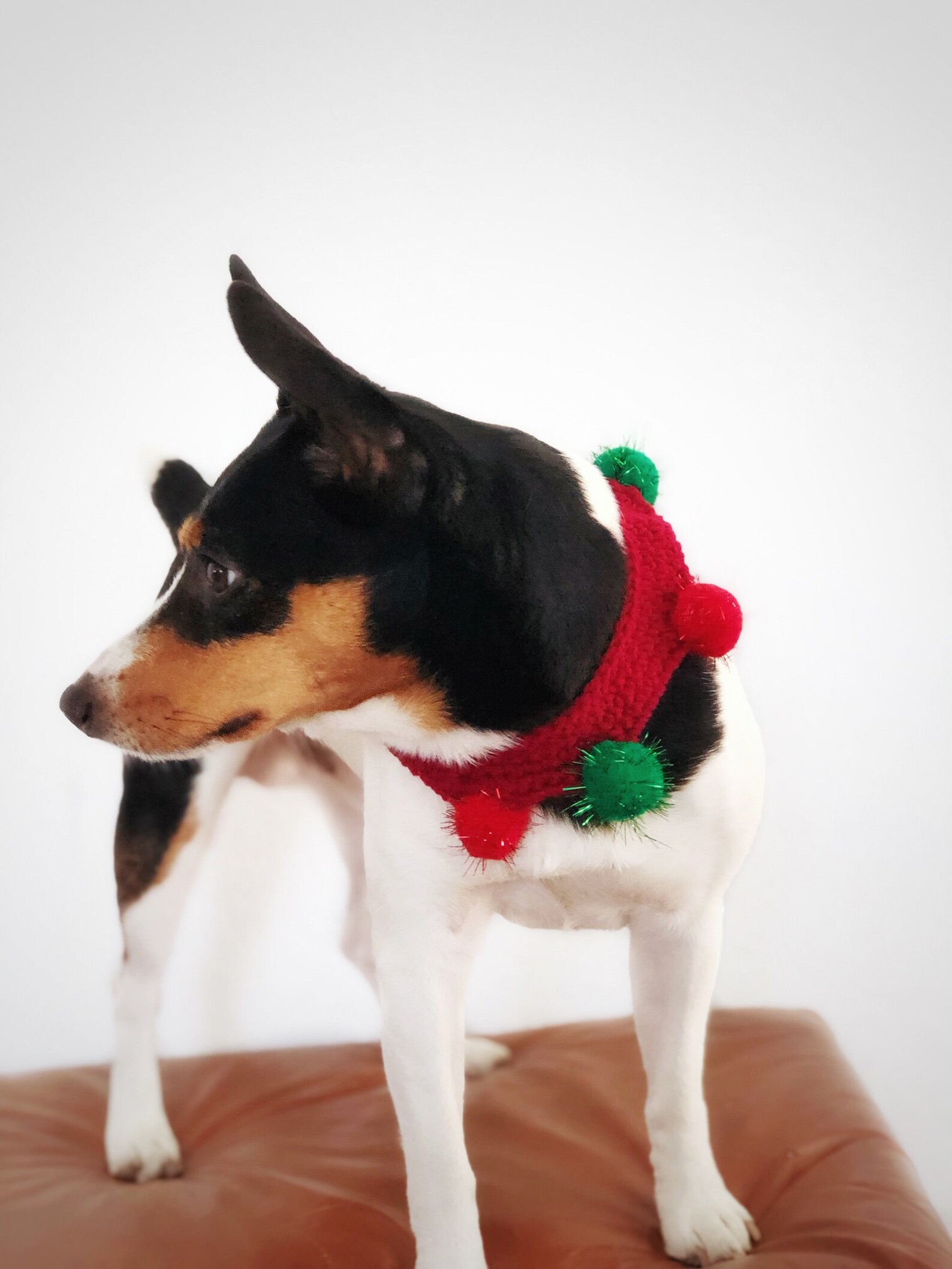 Christmas Pet Gift Crochet Dog Collar Elastic Pet Necklace Red With ...