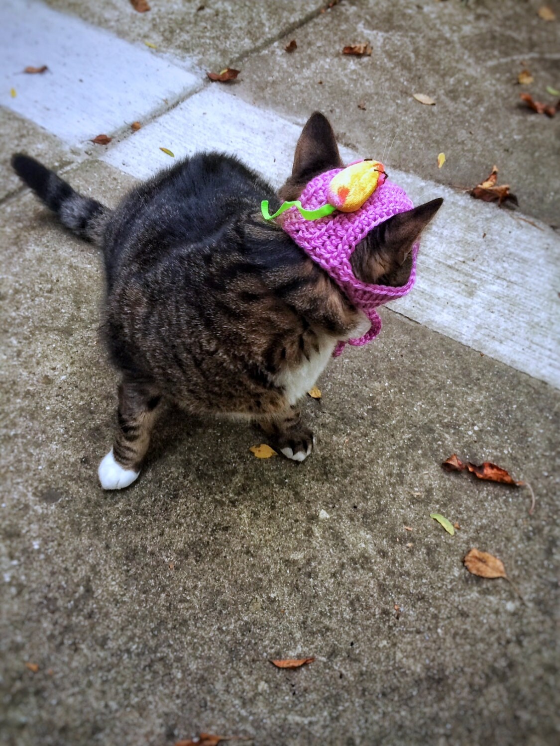 Halloween Costume Cat Hat Pet Hat With Mouse Crochet Unique - Etsy