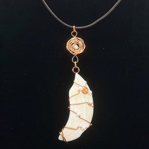 Seashell Necklace, Recycled Florida Seashells, Wire Wrapped Jewelry ...